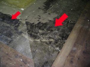 Adhesives containing asbestos - Asbestos Product Guide
